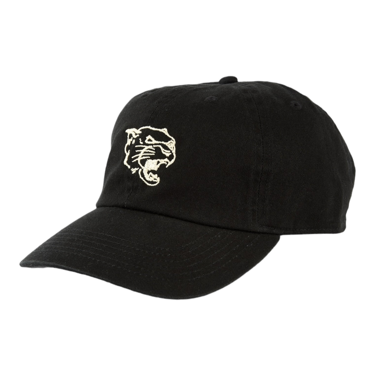2nd Academic Panther Baseball Cap
